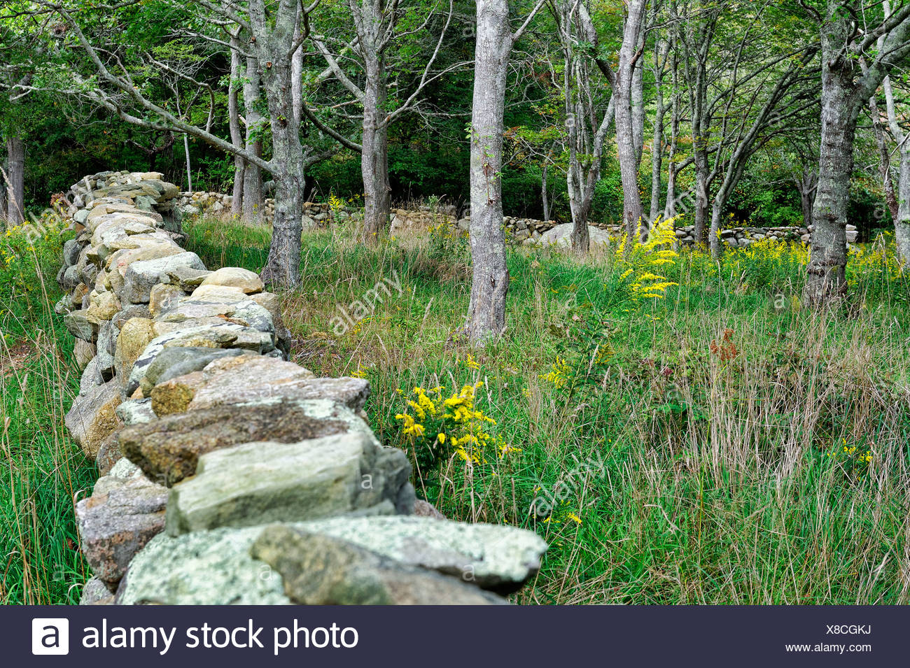 Fieldstone Walls High Resolution Stock Photography and Images - Alamy