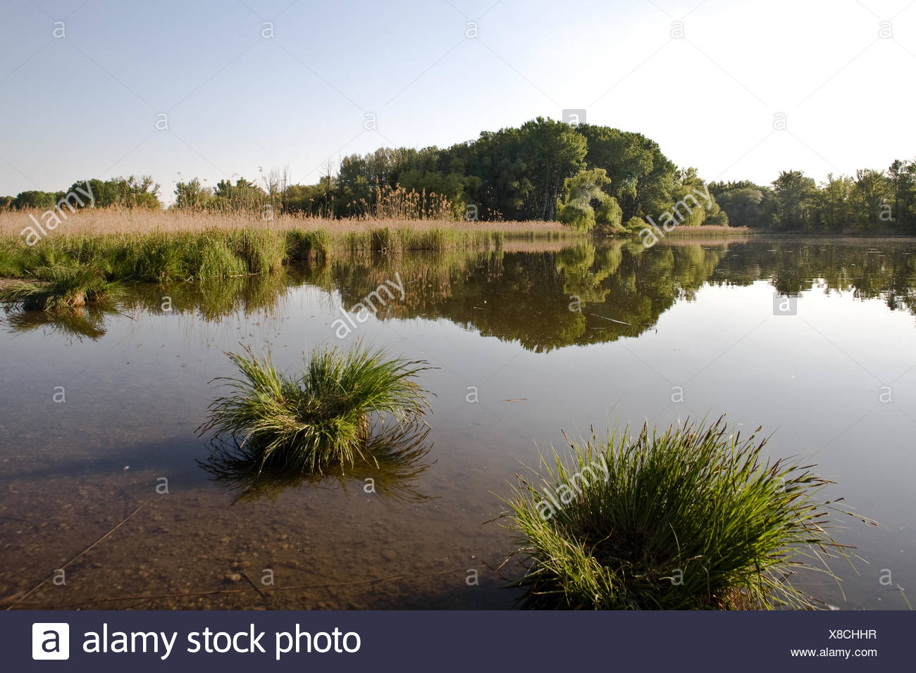 Riverine Stock Photos & Riverine Stock Images - Alamy