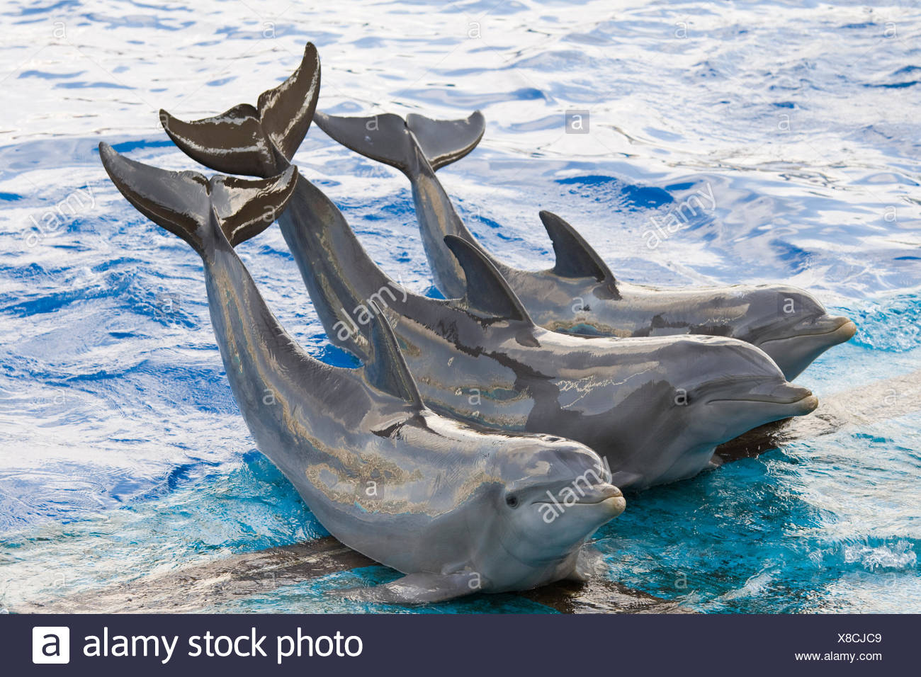 Streamlined High Resolution Stock Photography and Images - Alamy