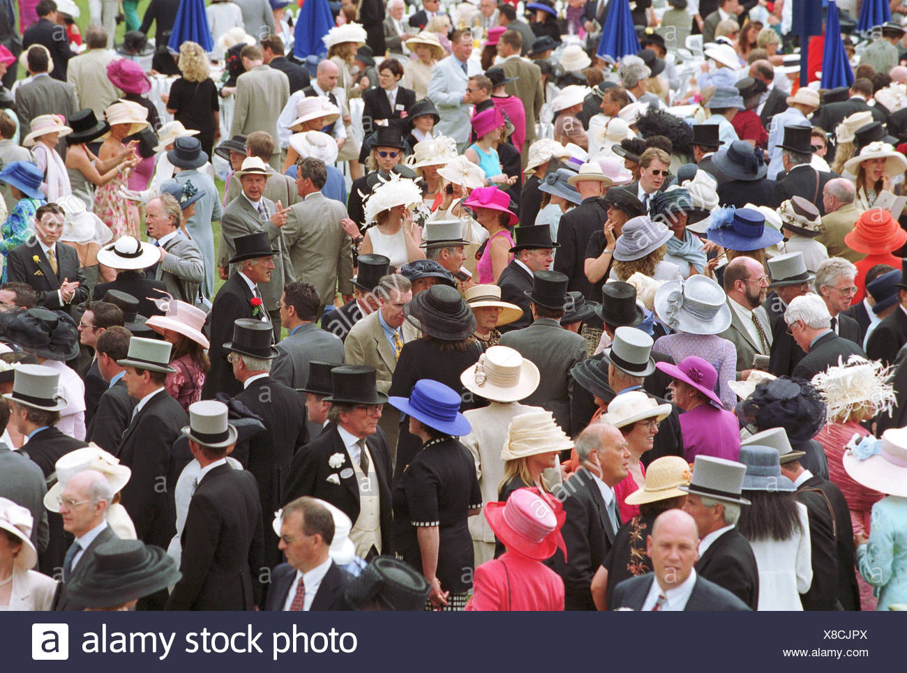 Horse Racing Crowd Spectators Audience High Resolution Stock ...