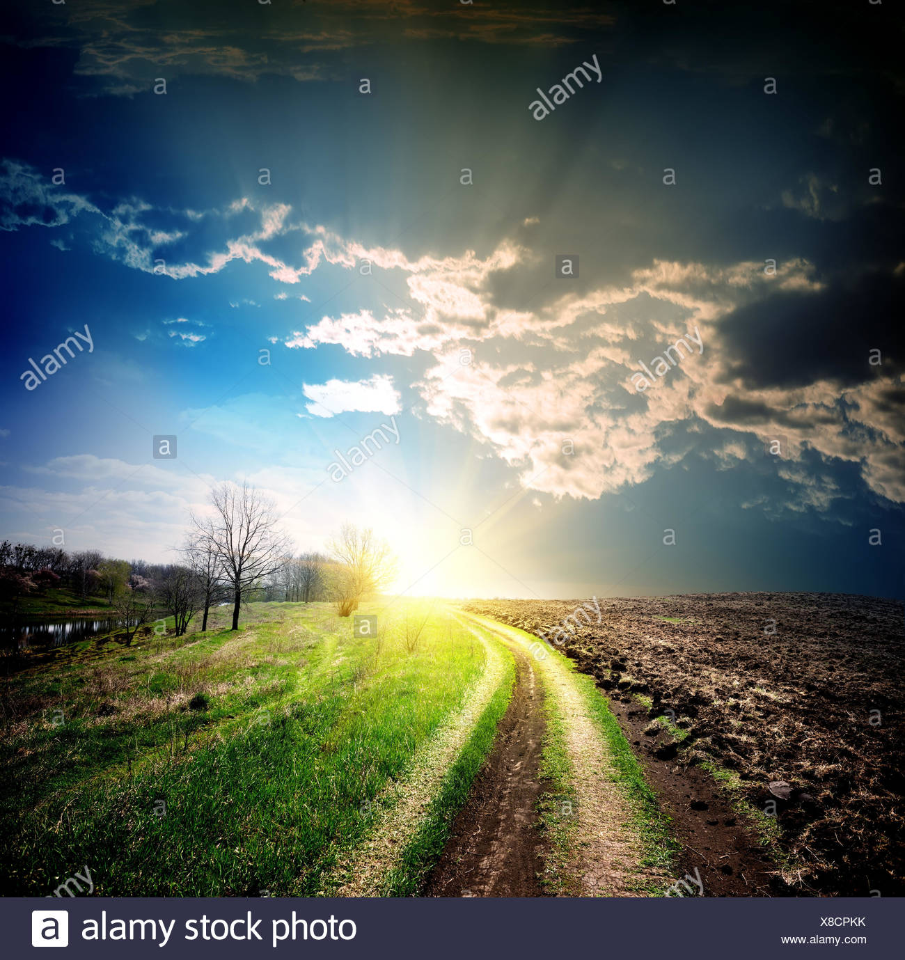Road Disappearing Into Distance Stock Photos & Road Disappearing Into ...
