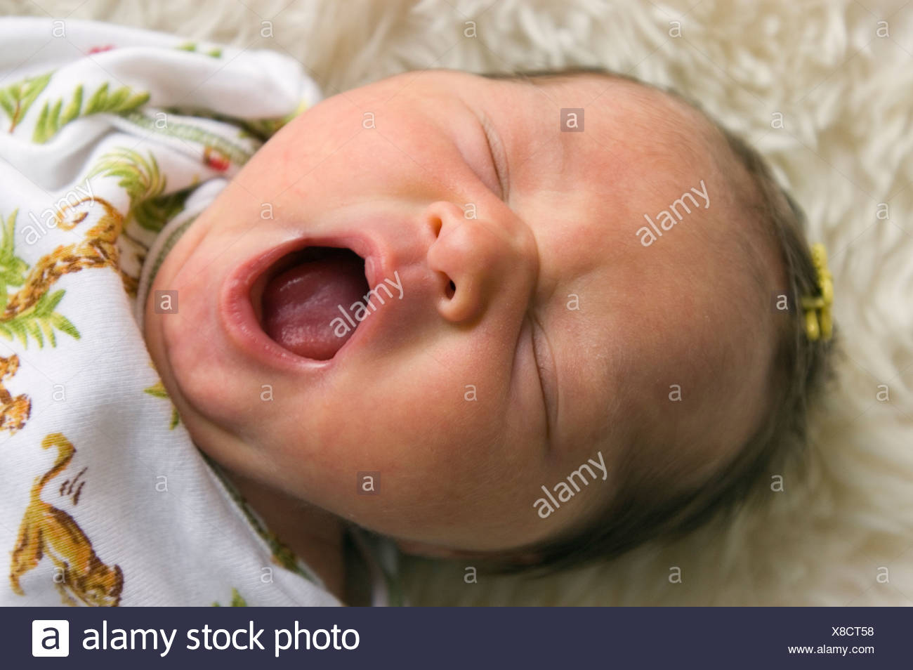 Riley Baby High Resolution Stock Photography and Images - Alamy