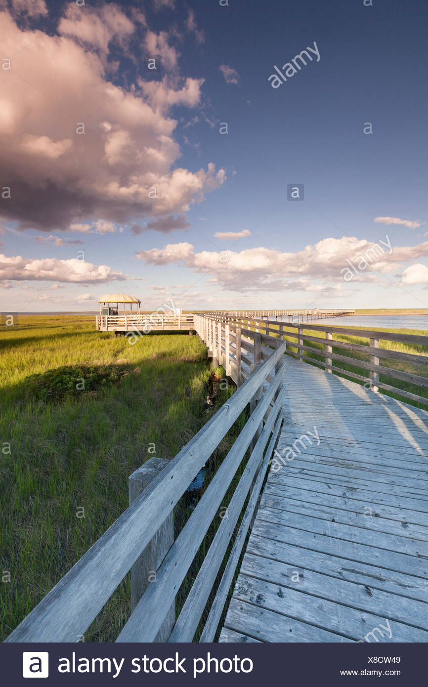 Kellys Beach High Resolution Stock Photography and Images - Alamy
