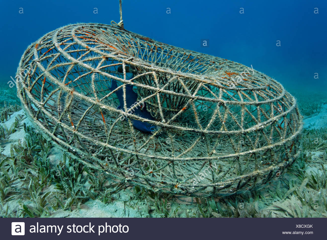 Fish Trap High Resolution Stock Photography and Images - Alamy