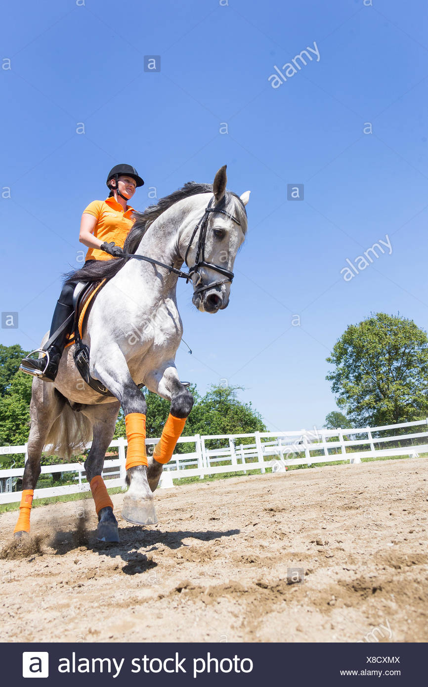 Spanish Horse Rider High Resolution Stock Photography and Images - Alamy