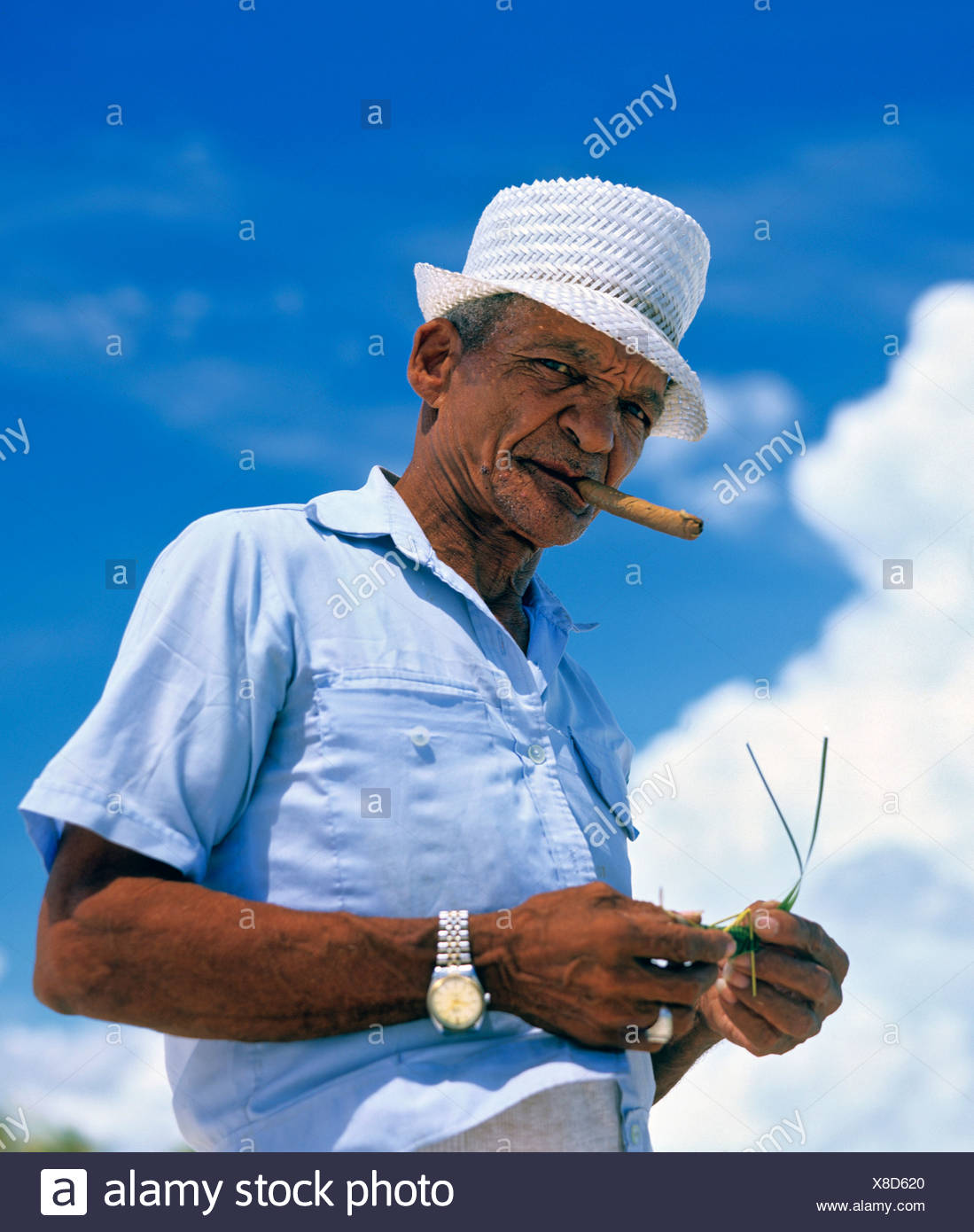 Smoking Cigarette Cigar High Resolution Stock Photography and Images ...