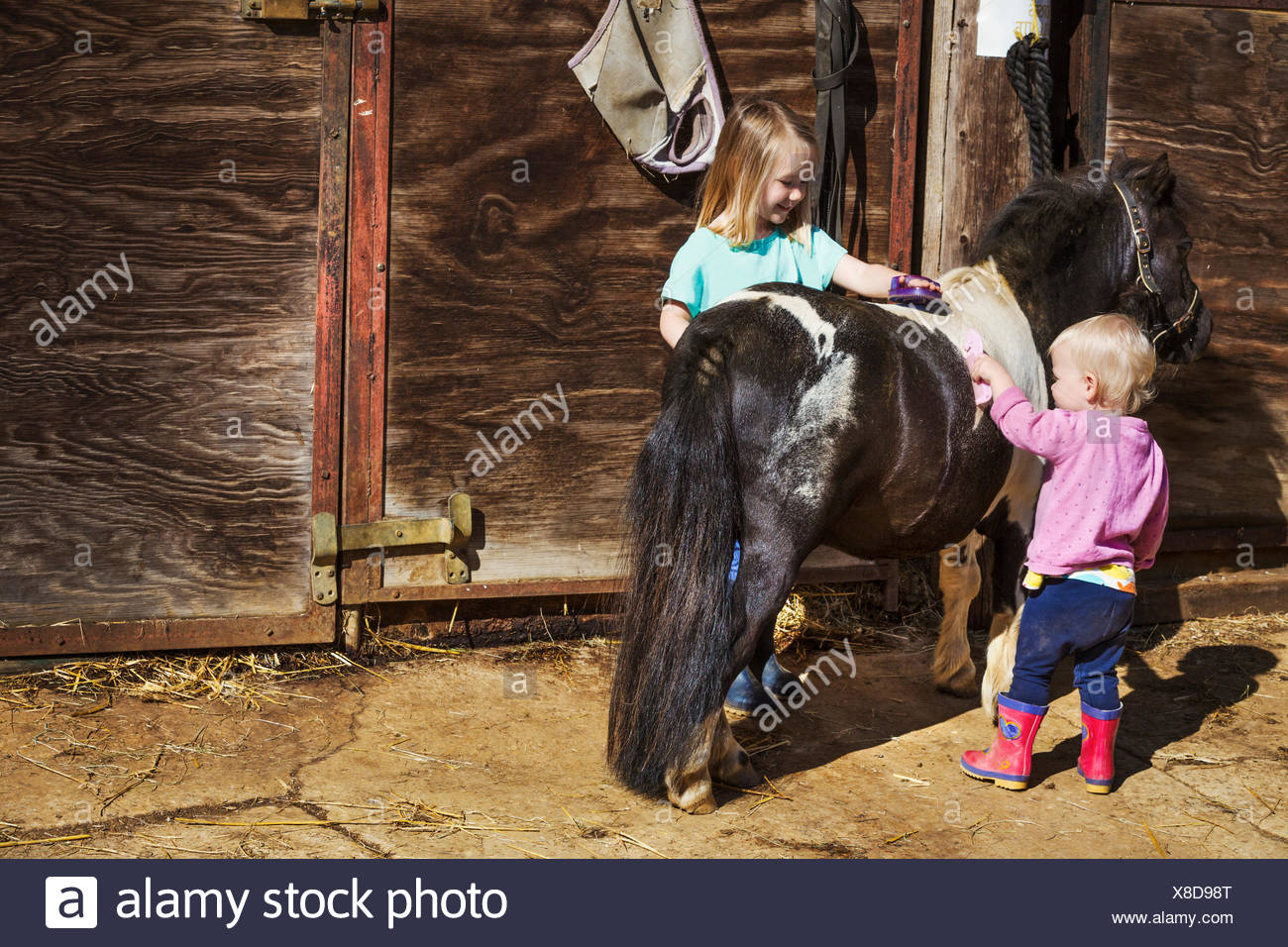 Stable Girls Stock Photos & Stable Girls Stock Images - Alamy