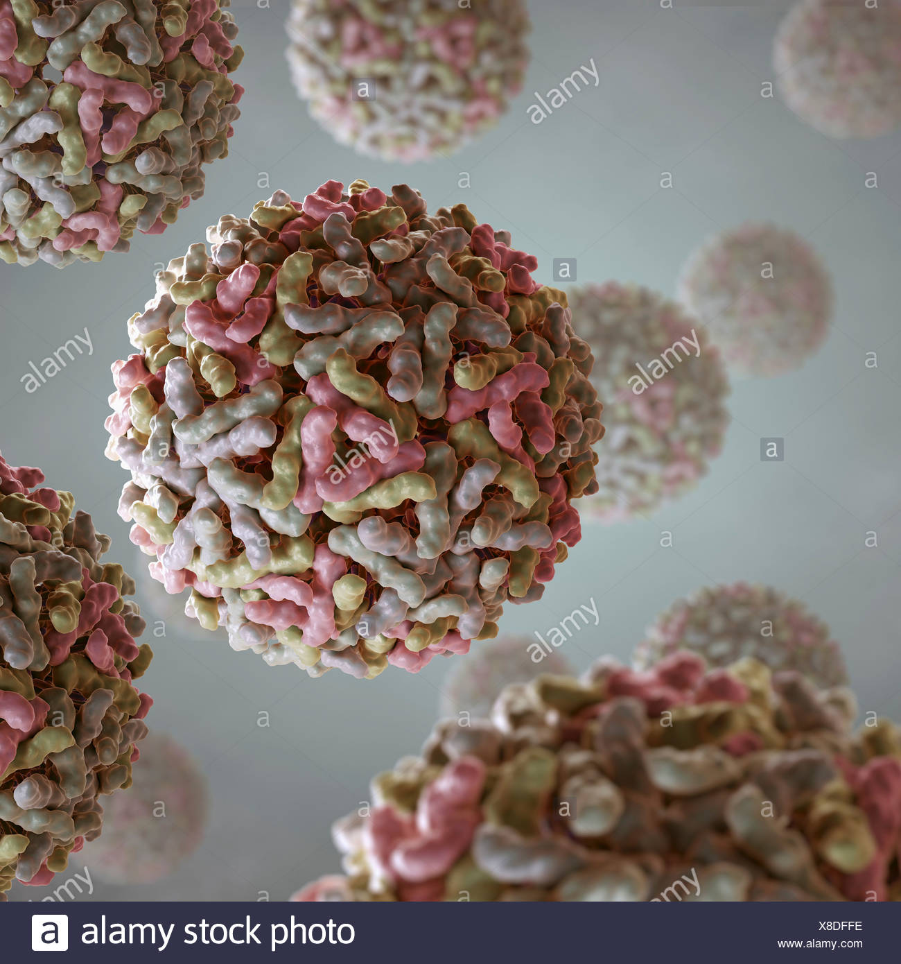 Alphavirus High Resolution Stock Photography and Images - Alamy