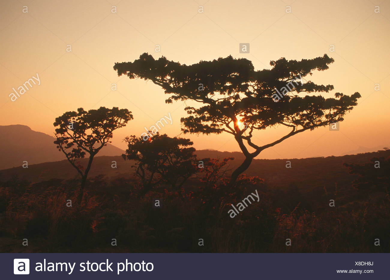 Nyanga Landscape High Resolution Stock Photography and Images - Alamy