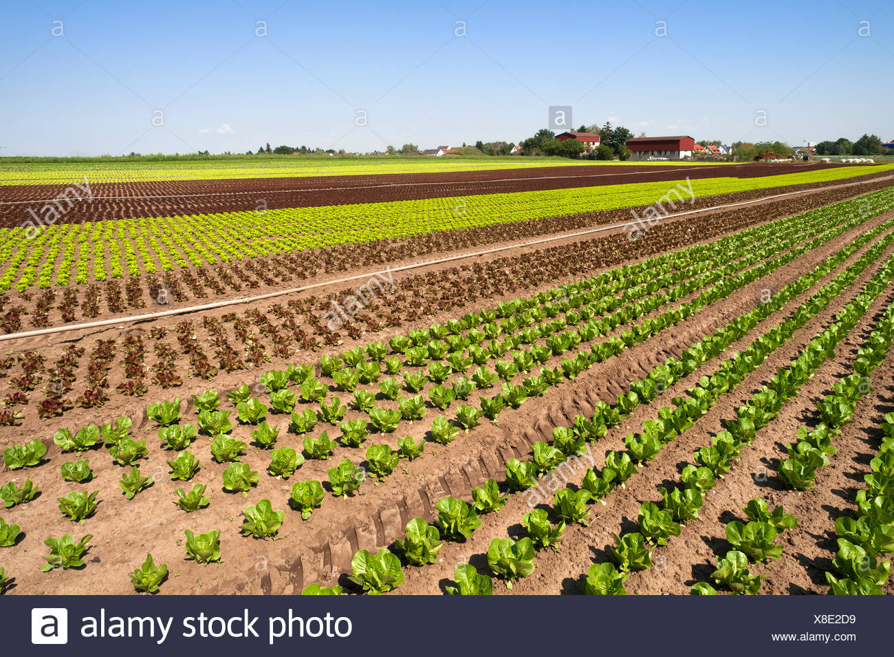Anbau High Resolution Stock Photography and Images - Alamy