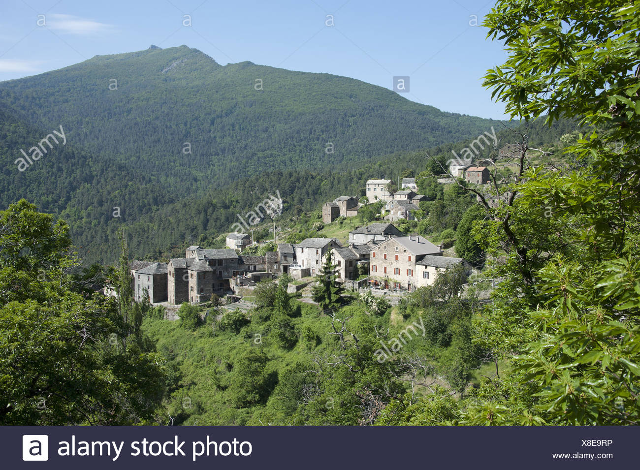Morosaglia Stock Photos & Morosaglia Stock Images - Alamy