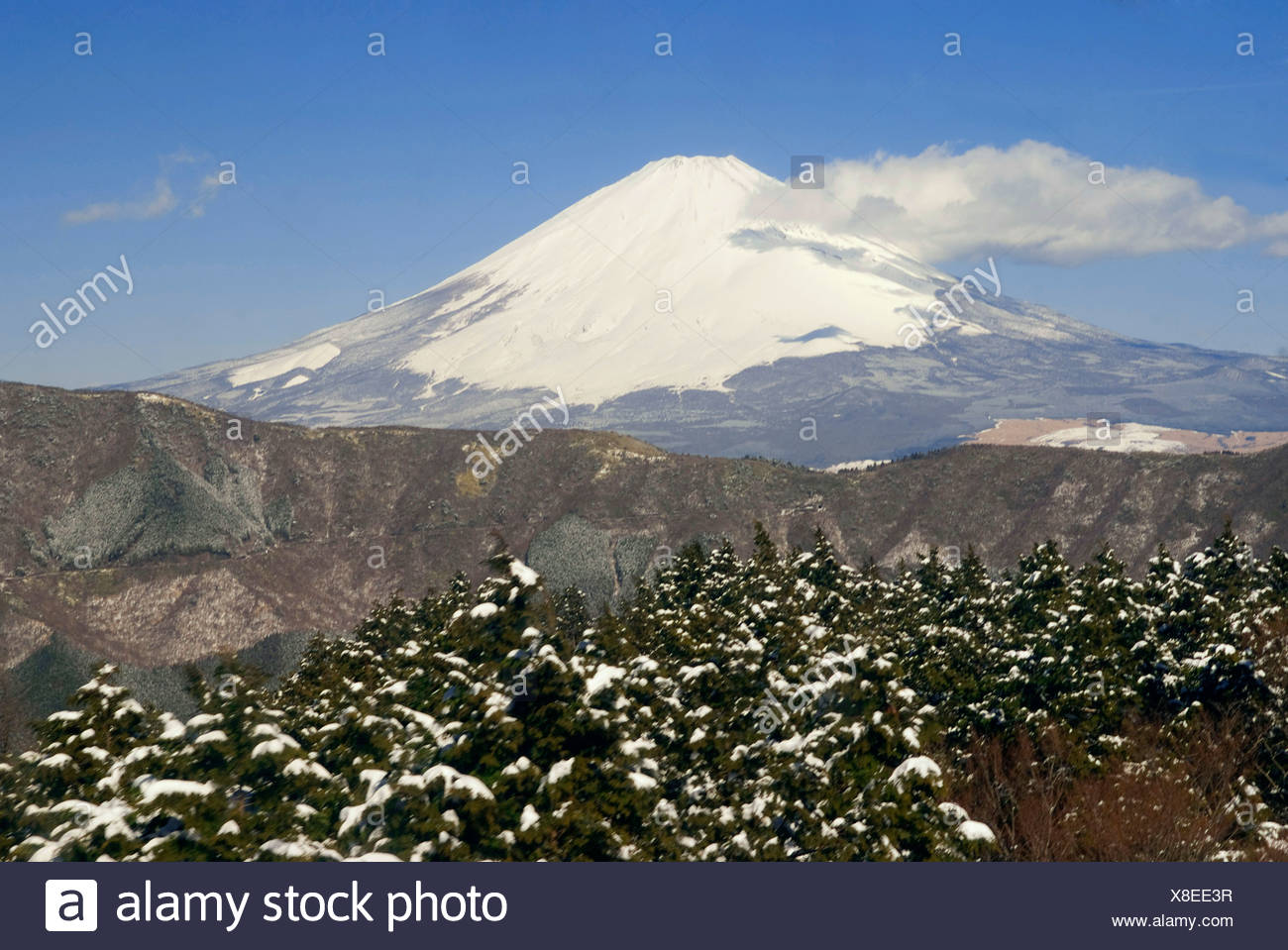 Fuji Yama Stock Photos & Fuji Yama Stock Images - Alamy