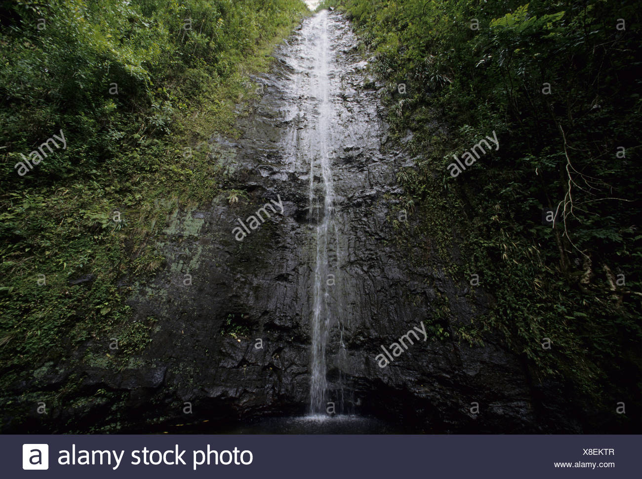 Manoa High Resolution Stock Photography and Images - Alamy