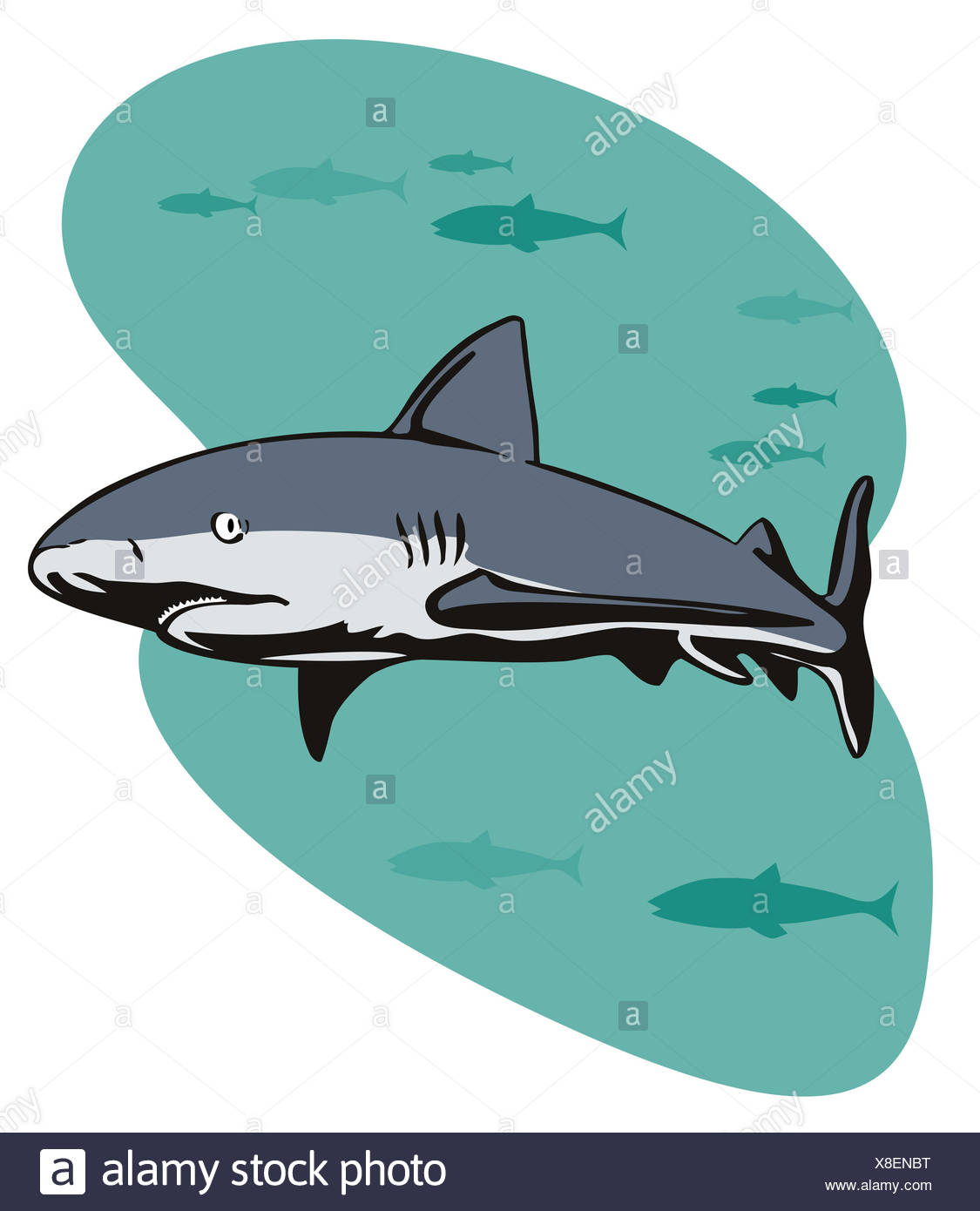 Shark Side View High Resolution Stock Photography and Images - Alamy