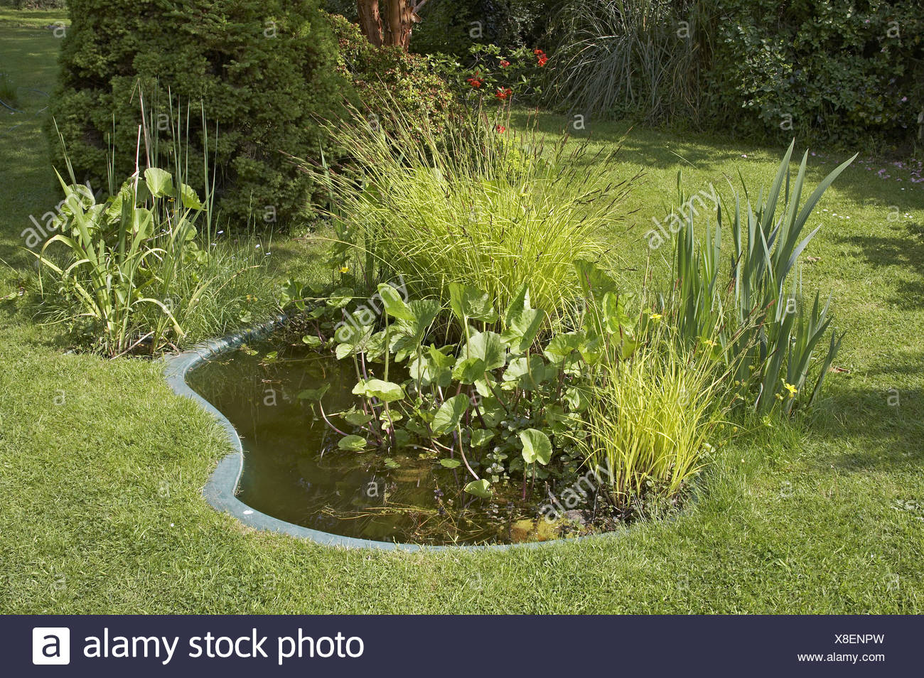 Fibreglass High Resolution Stock Photography and Images - Alamy