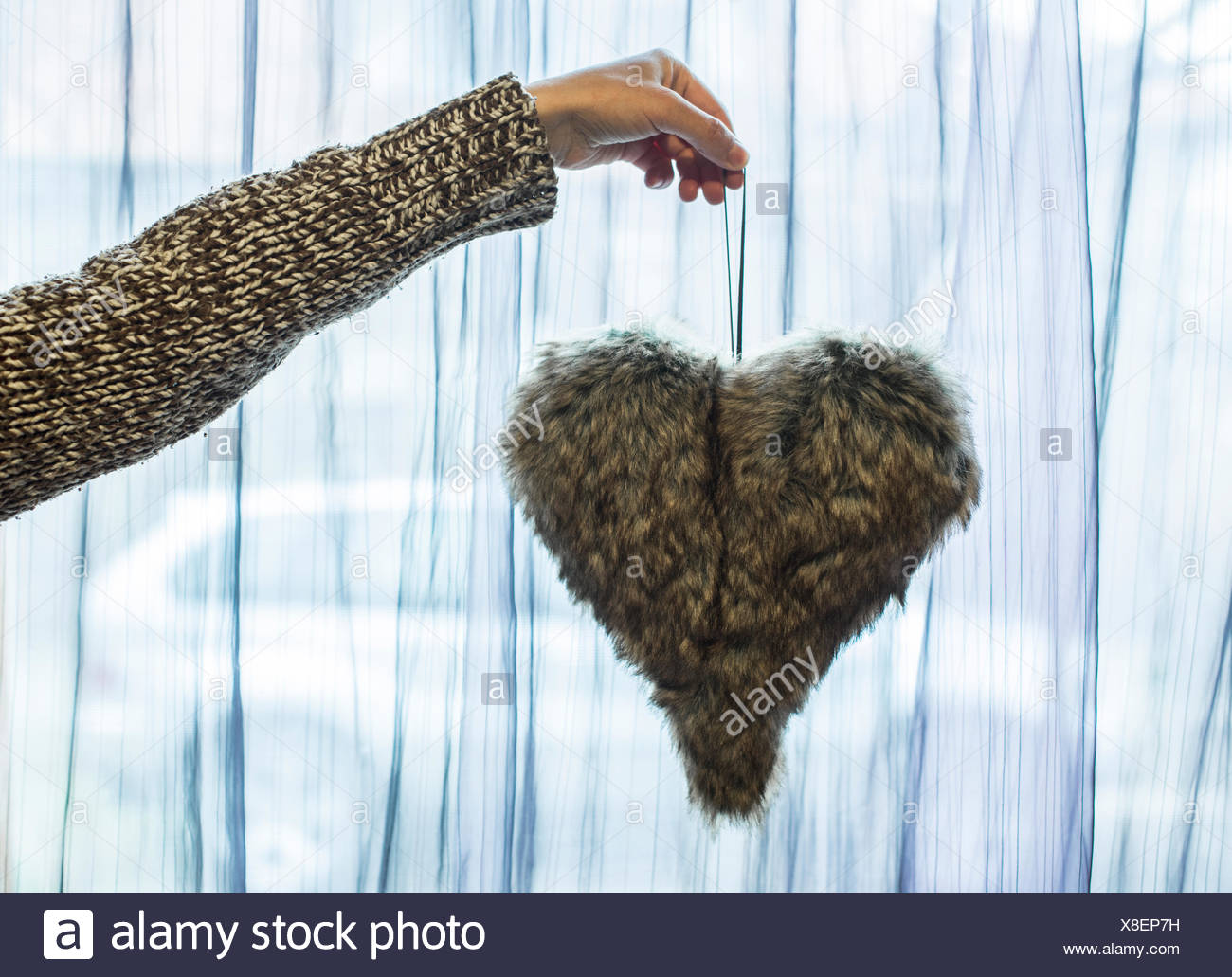 Furry Stock Photos & Furry Stock Images - Alamy