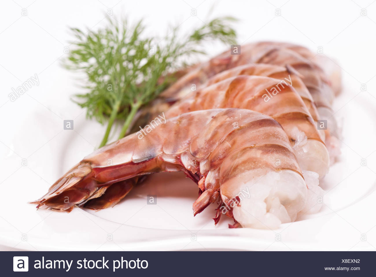Atlantic Prawns High Resolution Stock Photography and Images - Alamy