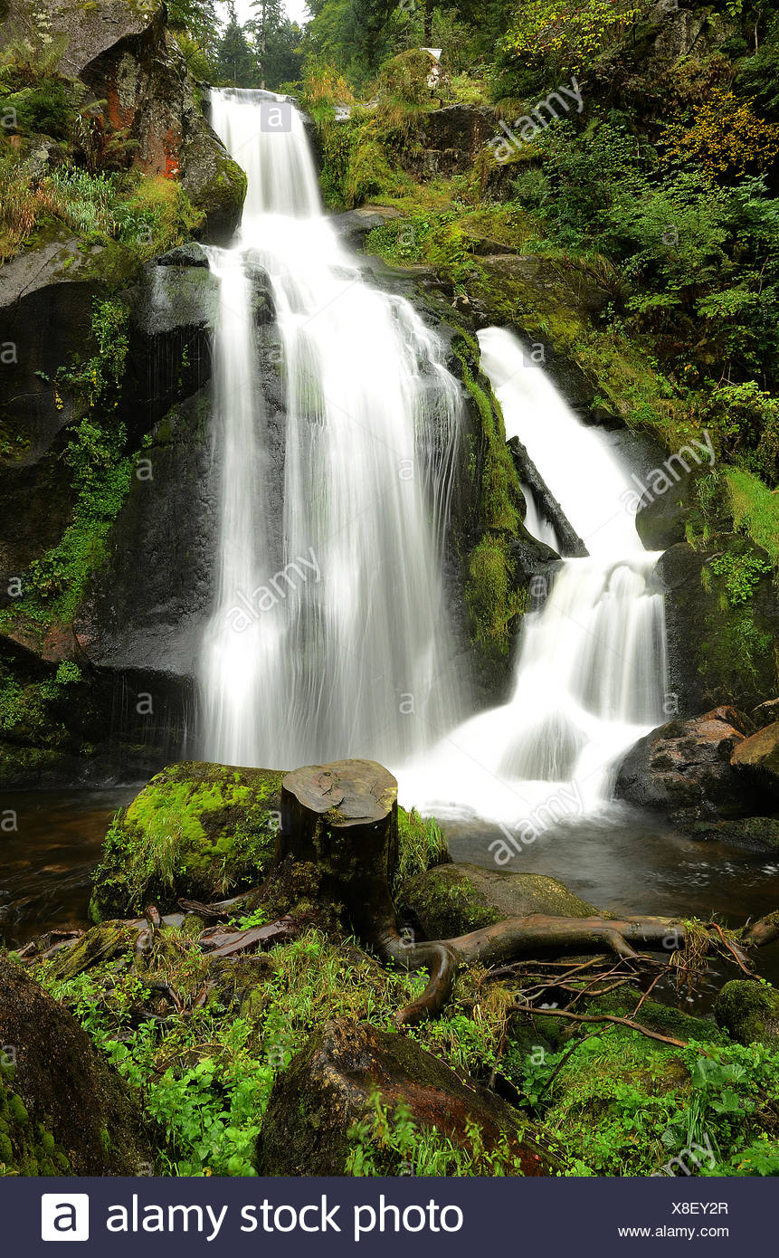 Triberger Wasserfall Stock Photos & Triberger Wasserfall Stock Images ...