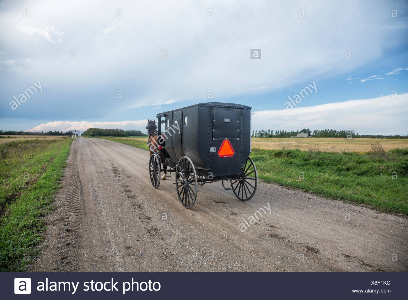 Horse Drawn Buggy On Road High Resolution Stock Photography and Images ...