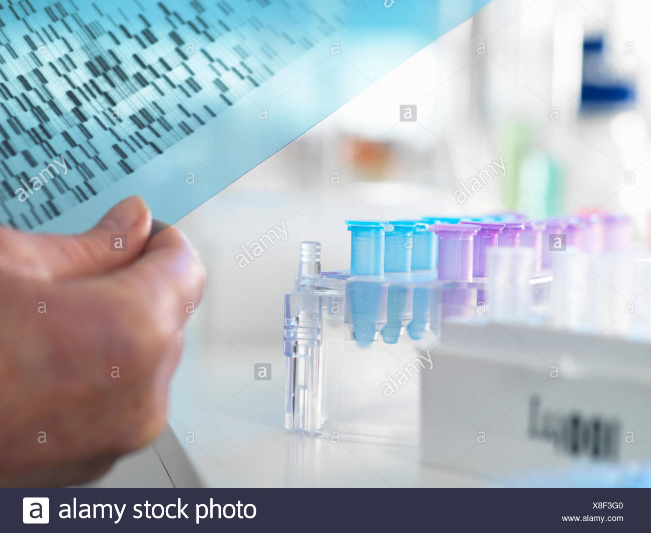 Sequencing Gel High Resolution Stock Photography and Images - Alamy