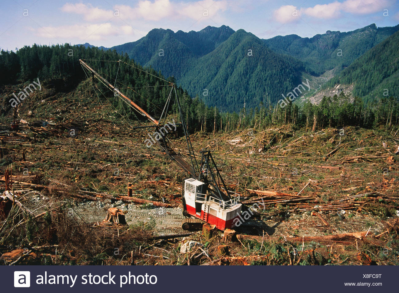 Deforestation High Resolution Stock Photography and Images - Alamy