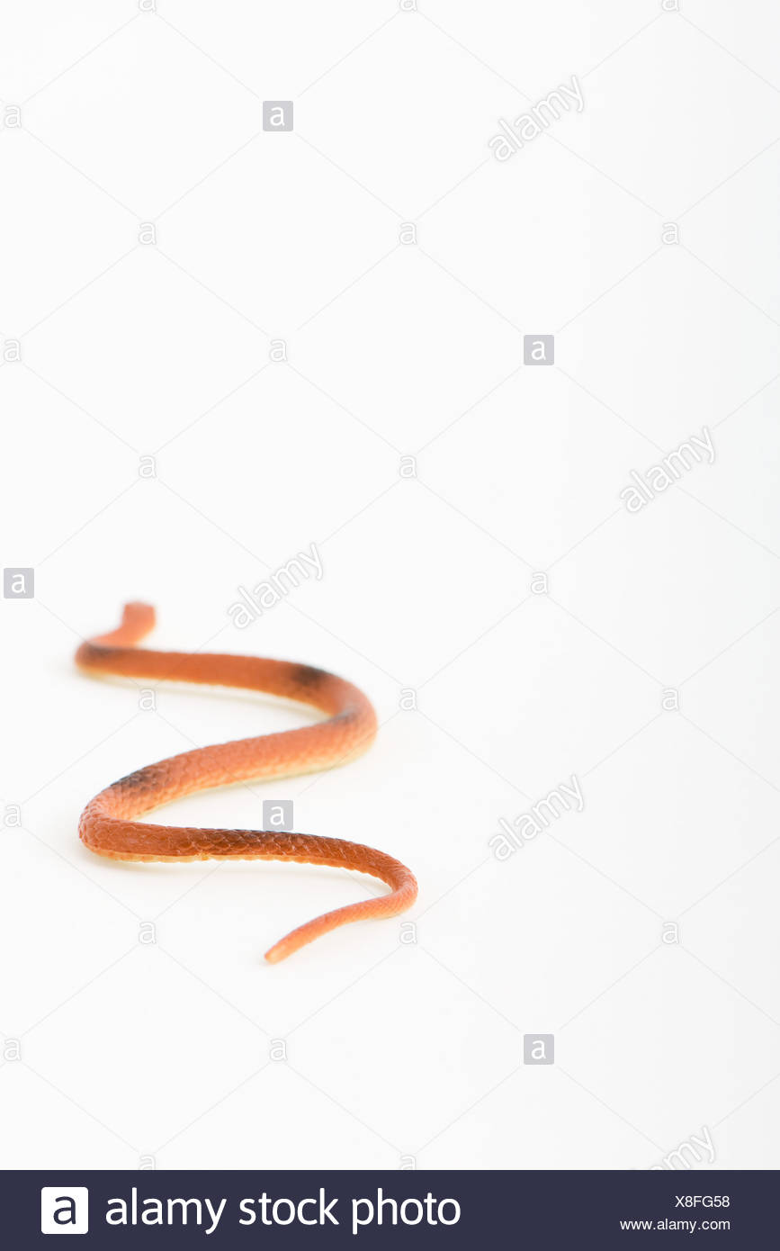 Toy Snakes High Resolution Stock Photography and Images - Alamy