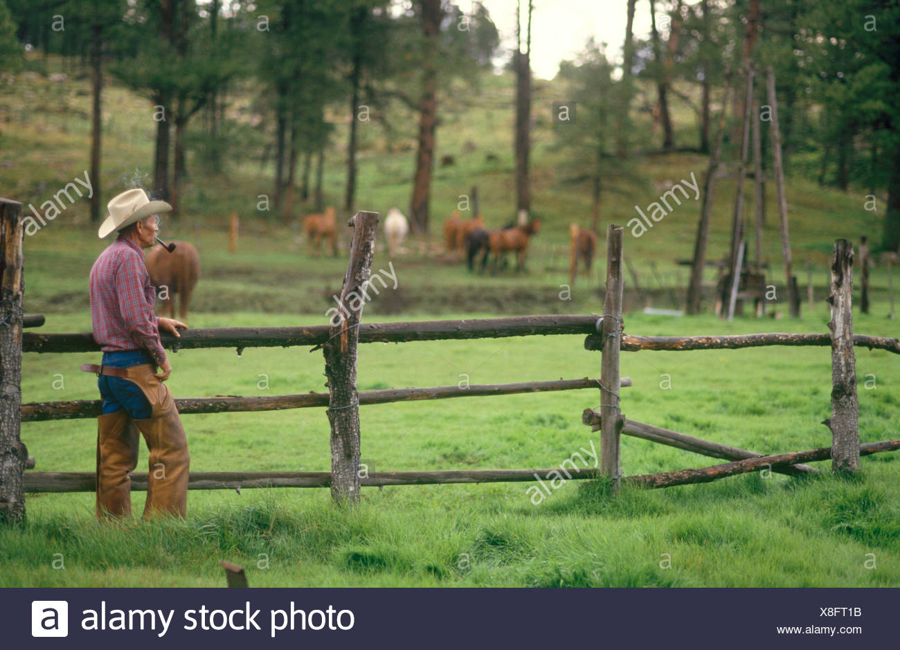 Cowboy Smoking With Horse Stock Photos & Cowboy Smoking With Horse ...