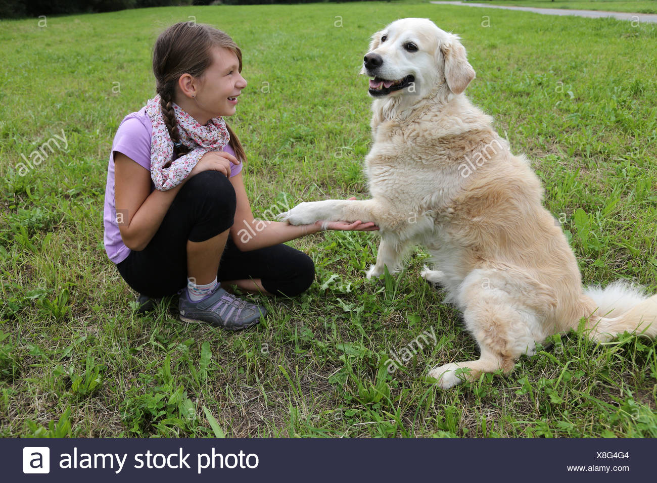 Die Pfote Geben High Resolution Stock Photography and Images - Alamy