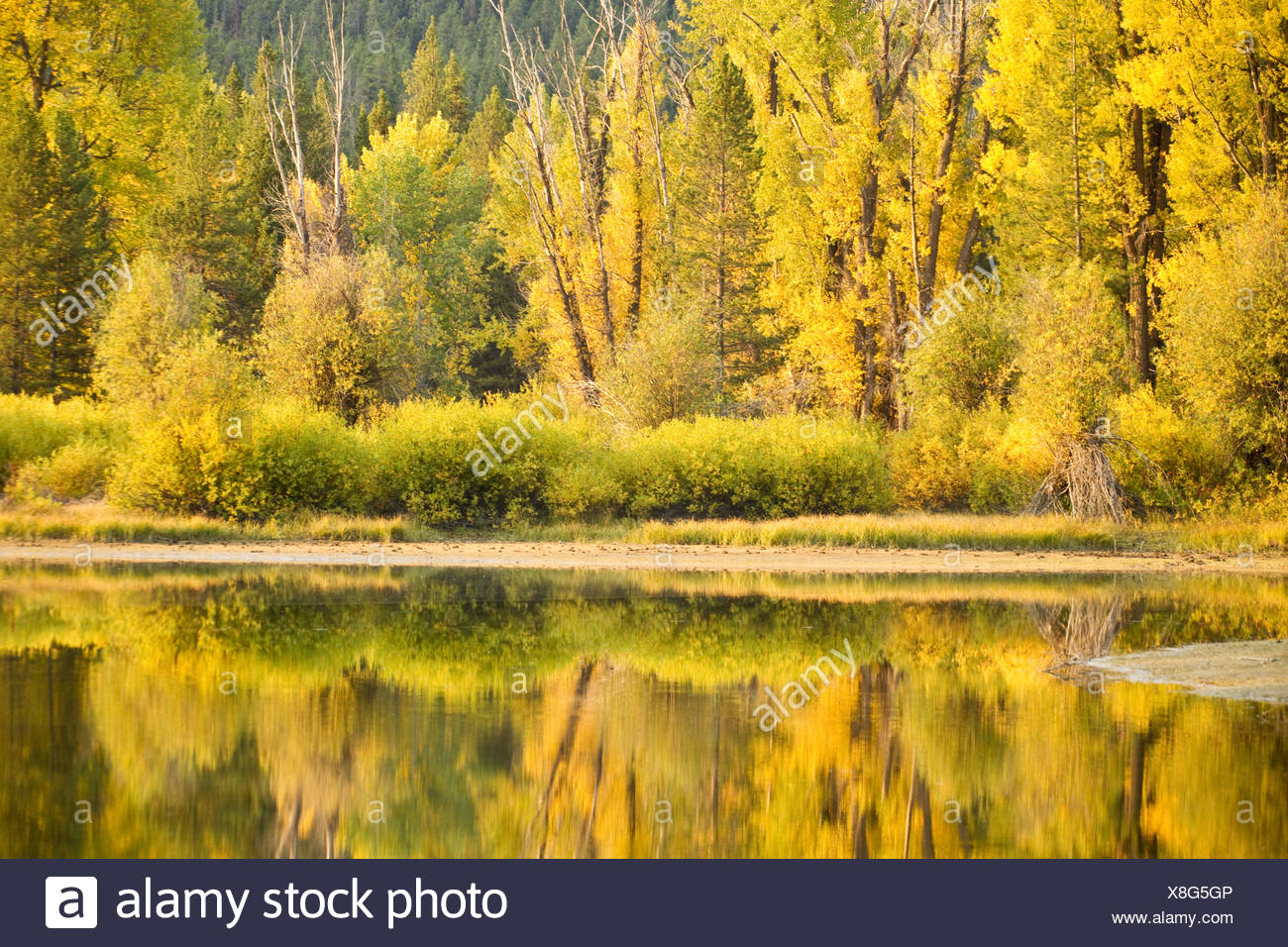 On Golden Pond High Resolution Stock Photography and Images - Alamy