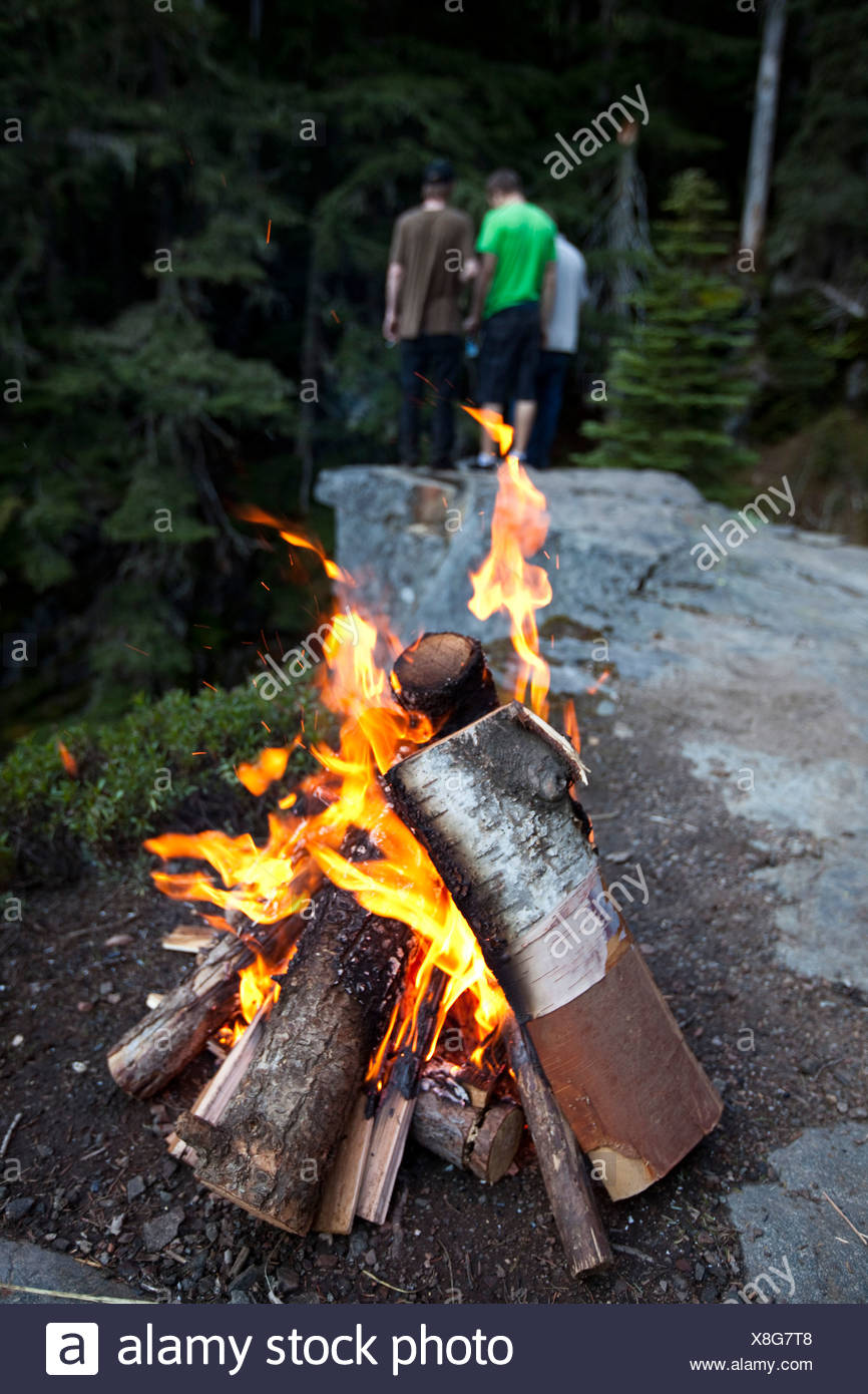 Campfire In The Forest High Resolution Stock Photography and Images - Alamy