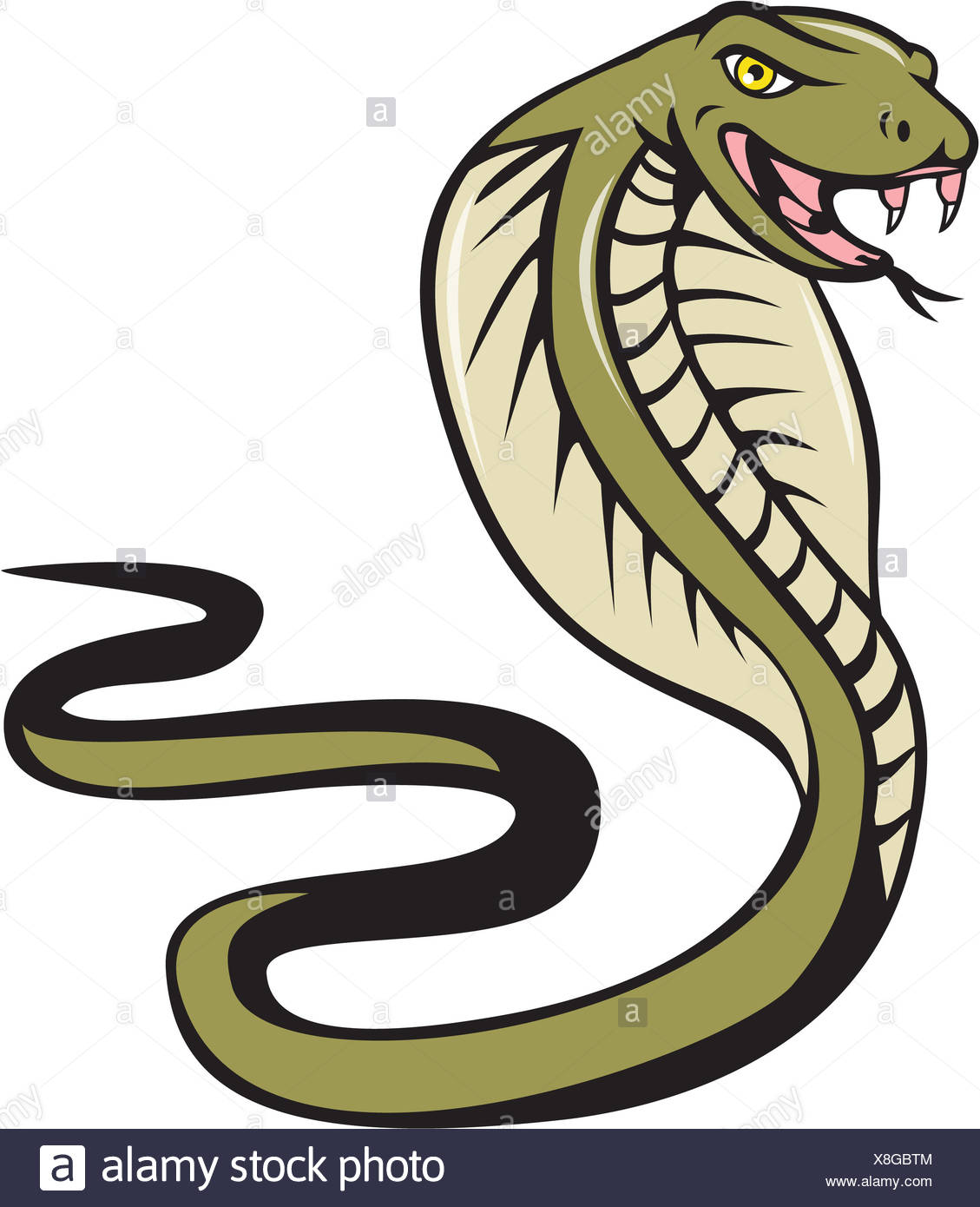Cobra Attack Snake Stock Photos & Cobra Attack Snake Stock Images - Alamy