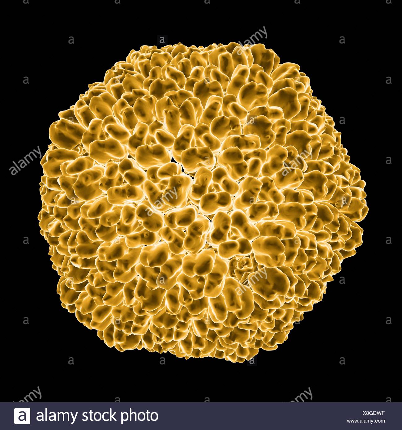 Sputnik Virophage Particle Stock Photos & Sputnik Virophage Particle ...