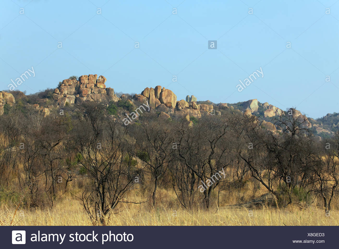Matopos Hills Stock Photos & Matopos Hills Stock Images - Alamy
