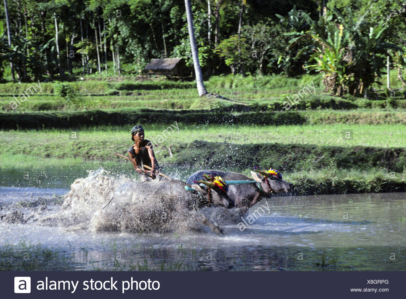 Water Racing High Resolution Stock Photography and Images - Alamy