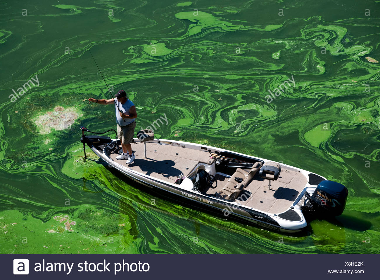 Algae Bloom California High Resolution Stock Photography and Images - Alamy