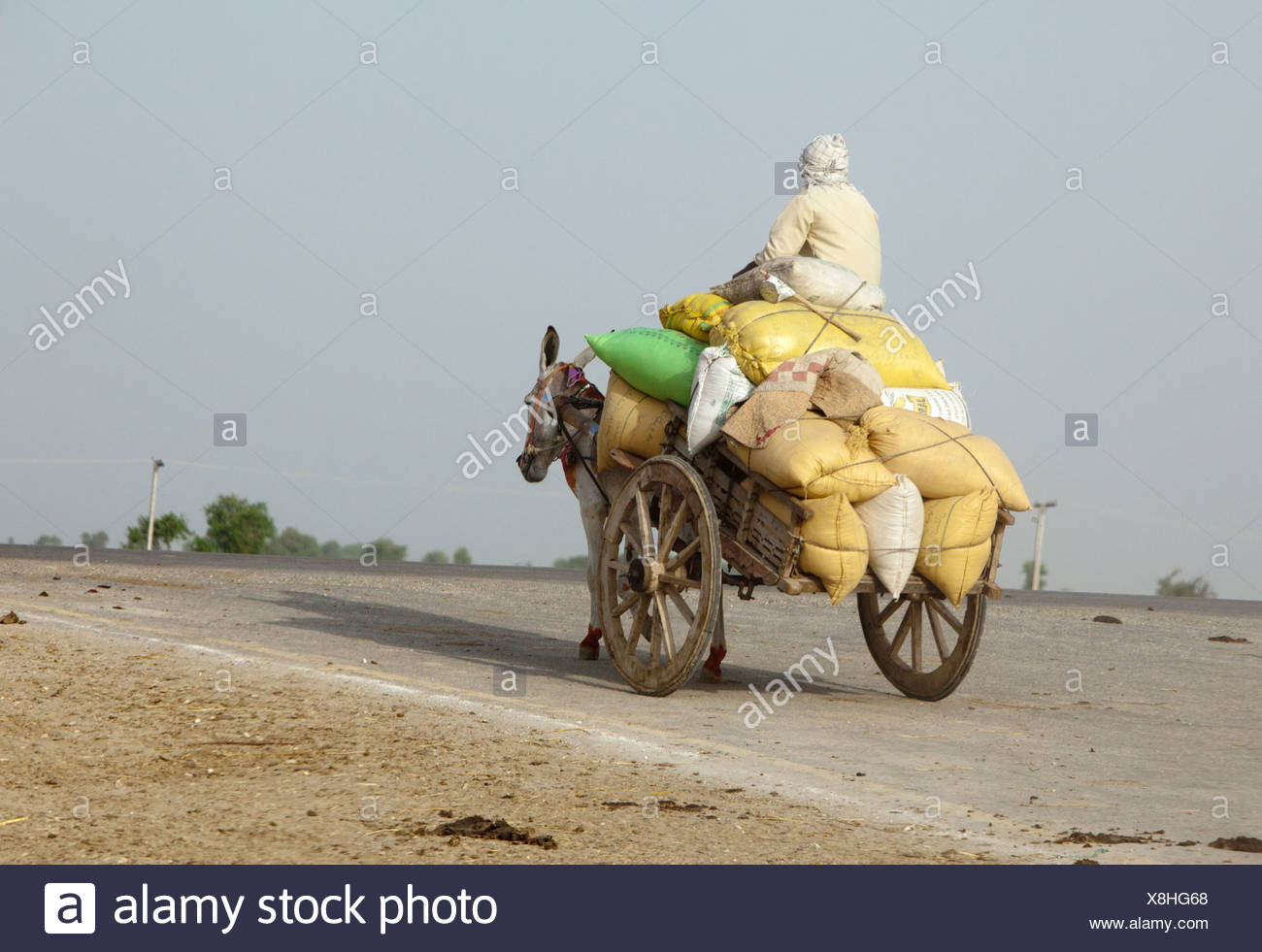 Donkey Cart Pakistan Pakistani High Resolution Stock Photography and ...