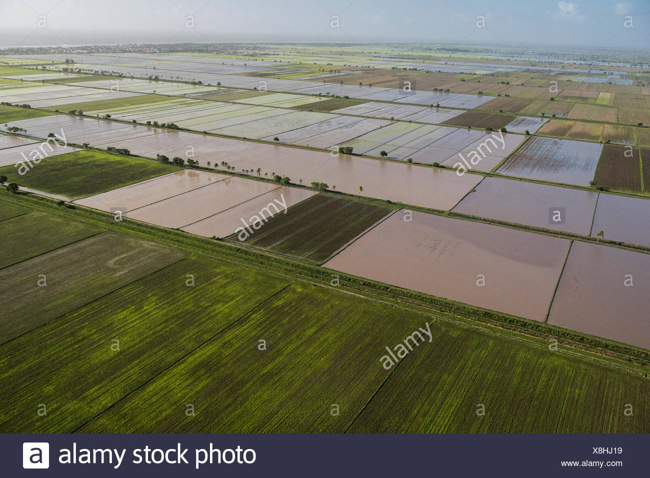 Coastal Guyana High Resolution Stock Photography and Images - Alamy