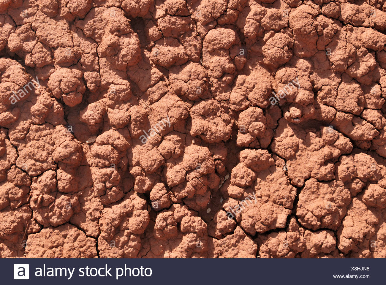Drought Mud Puddle High Resolution Stock Photography and Images - Alamy