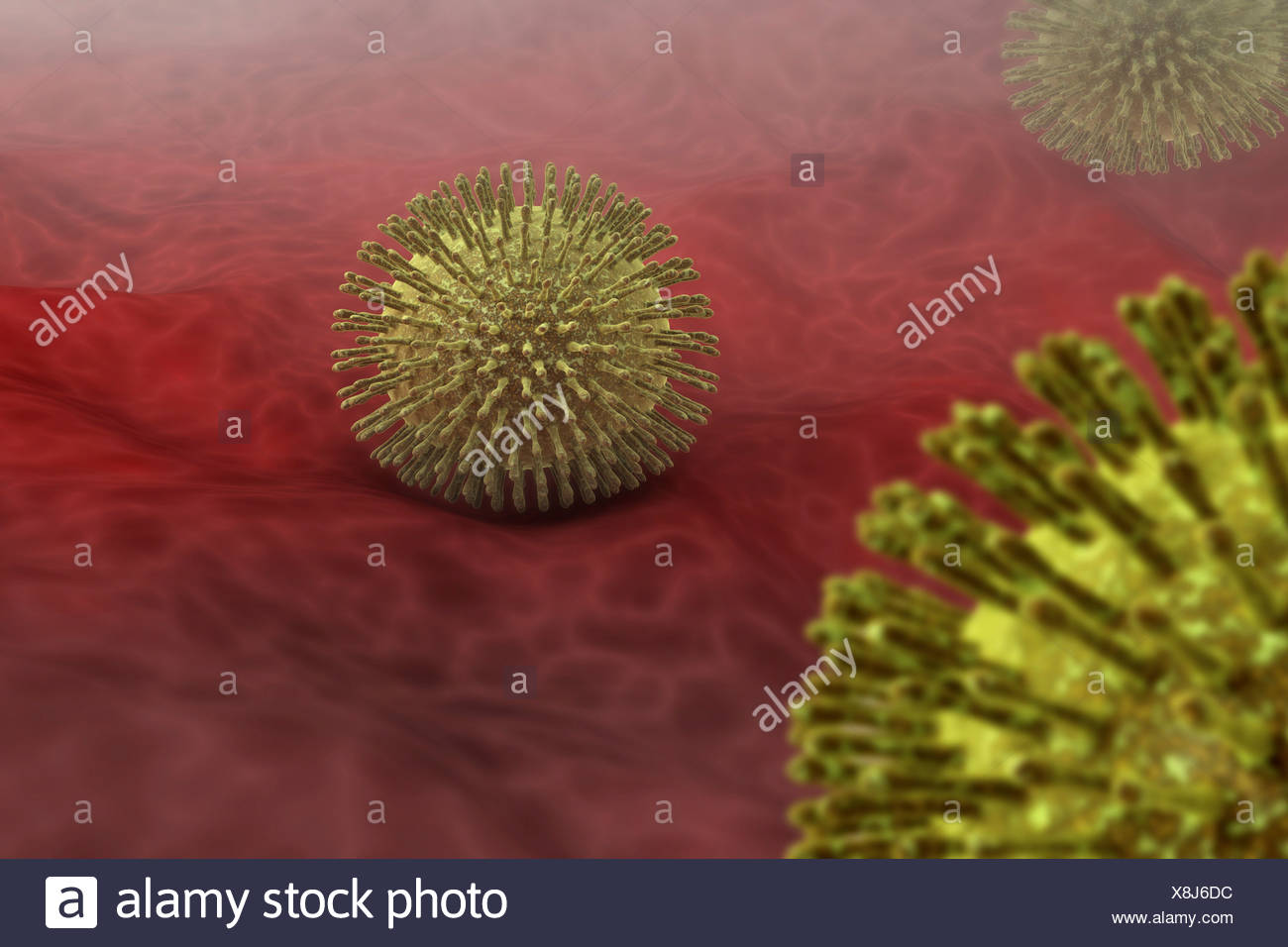 Avian Flu Virus High Resolution Stock Photography and Images - Alamy