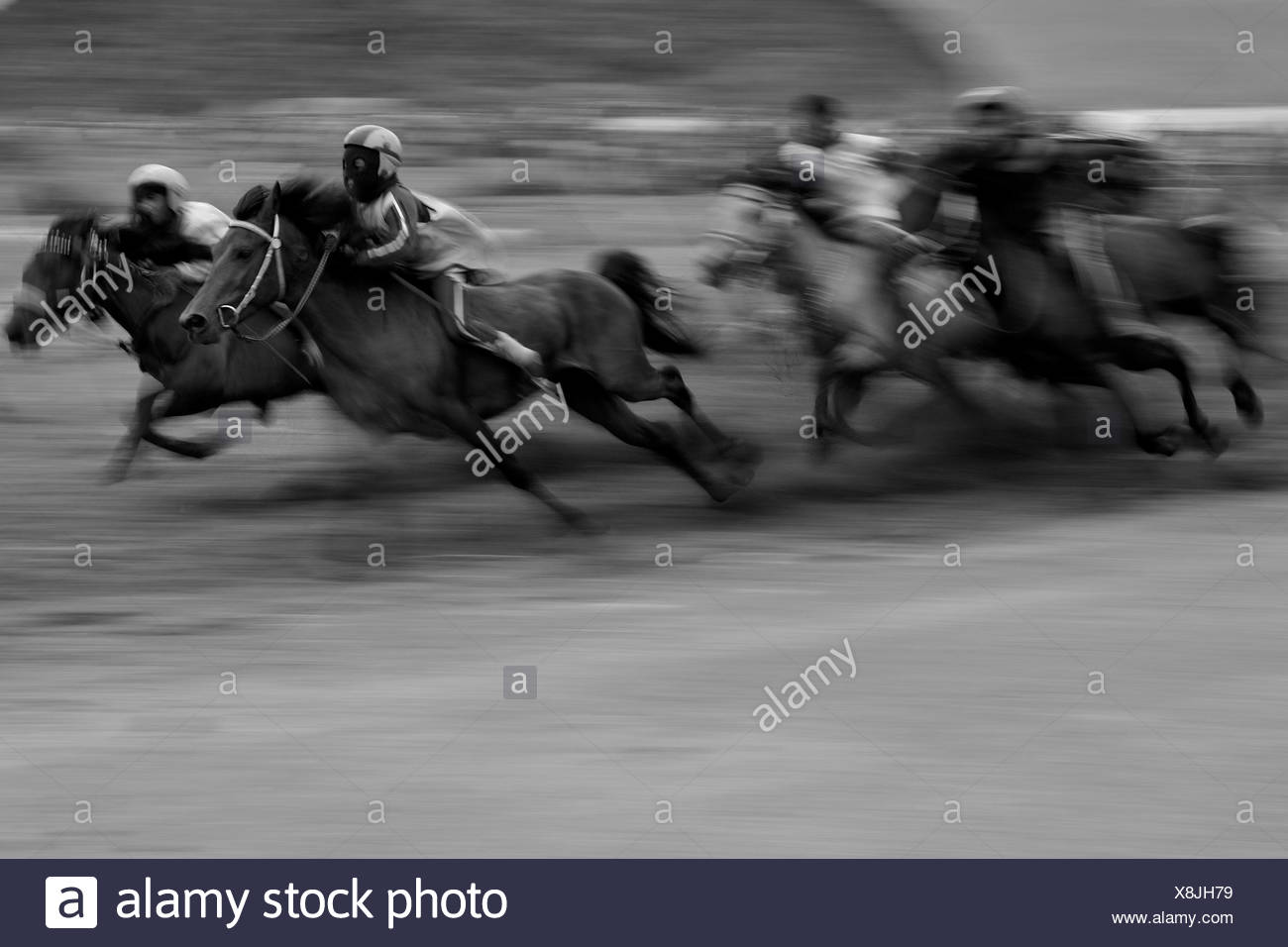 Side View Horse Racing High Resolution Stock Photography and Images - Alamy