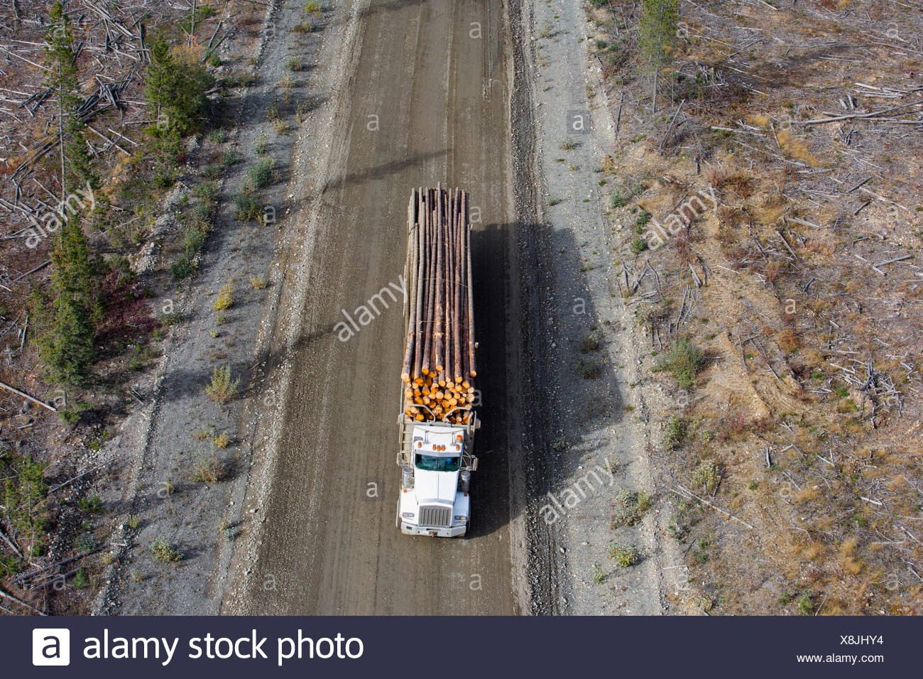 Logging Truck Transporting Timber Stock Photos & Logging Truck ...
