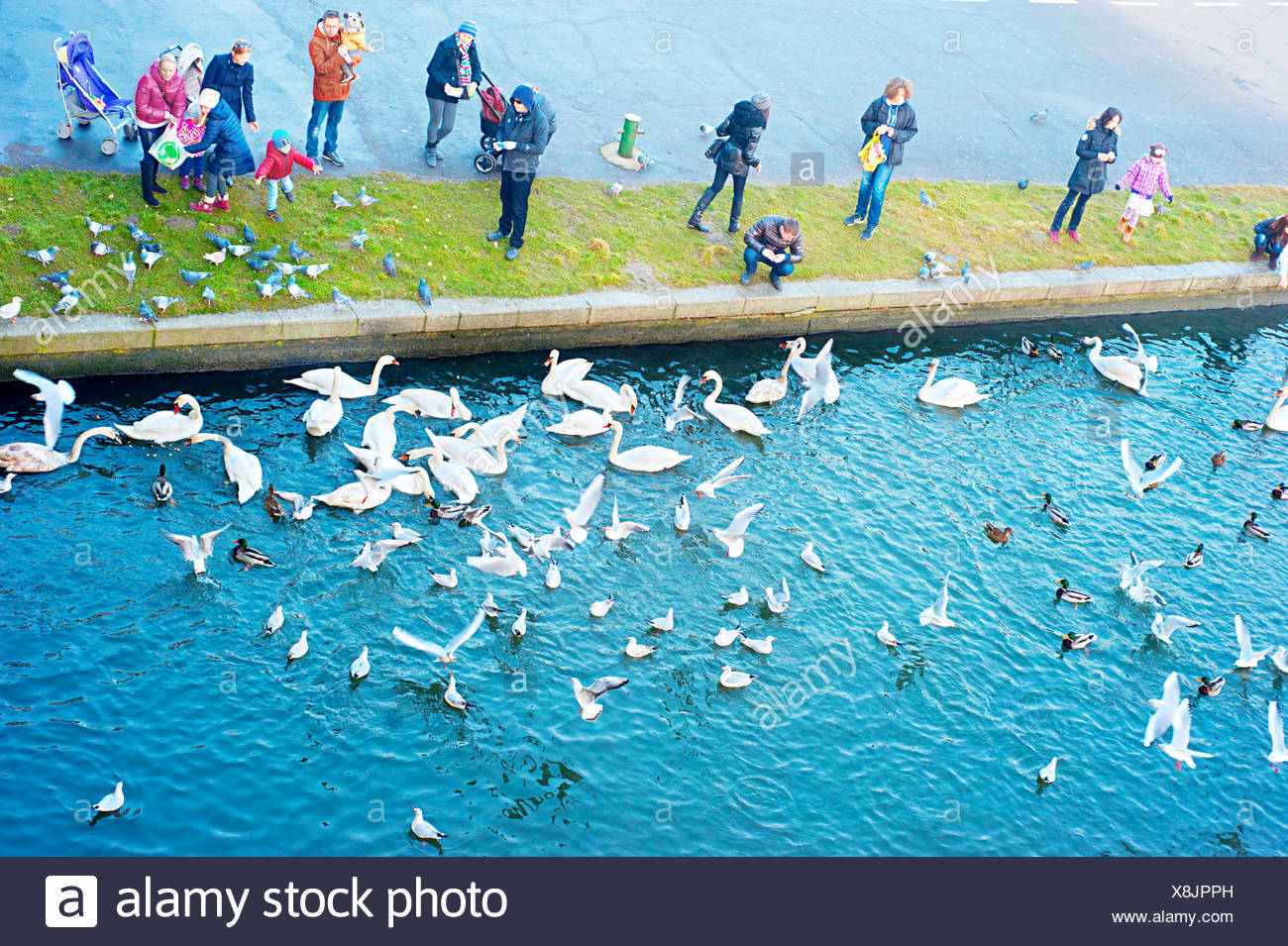 People Feeding Birds Stock Photos & People Feeding Birds Stock Images ...