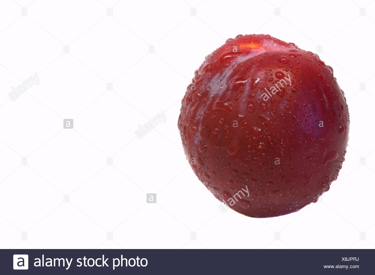 African Plum Tree High Resolution Stock Photography and Images - Alamy