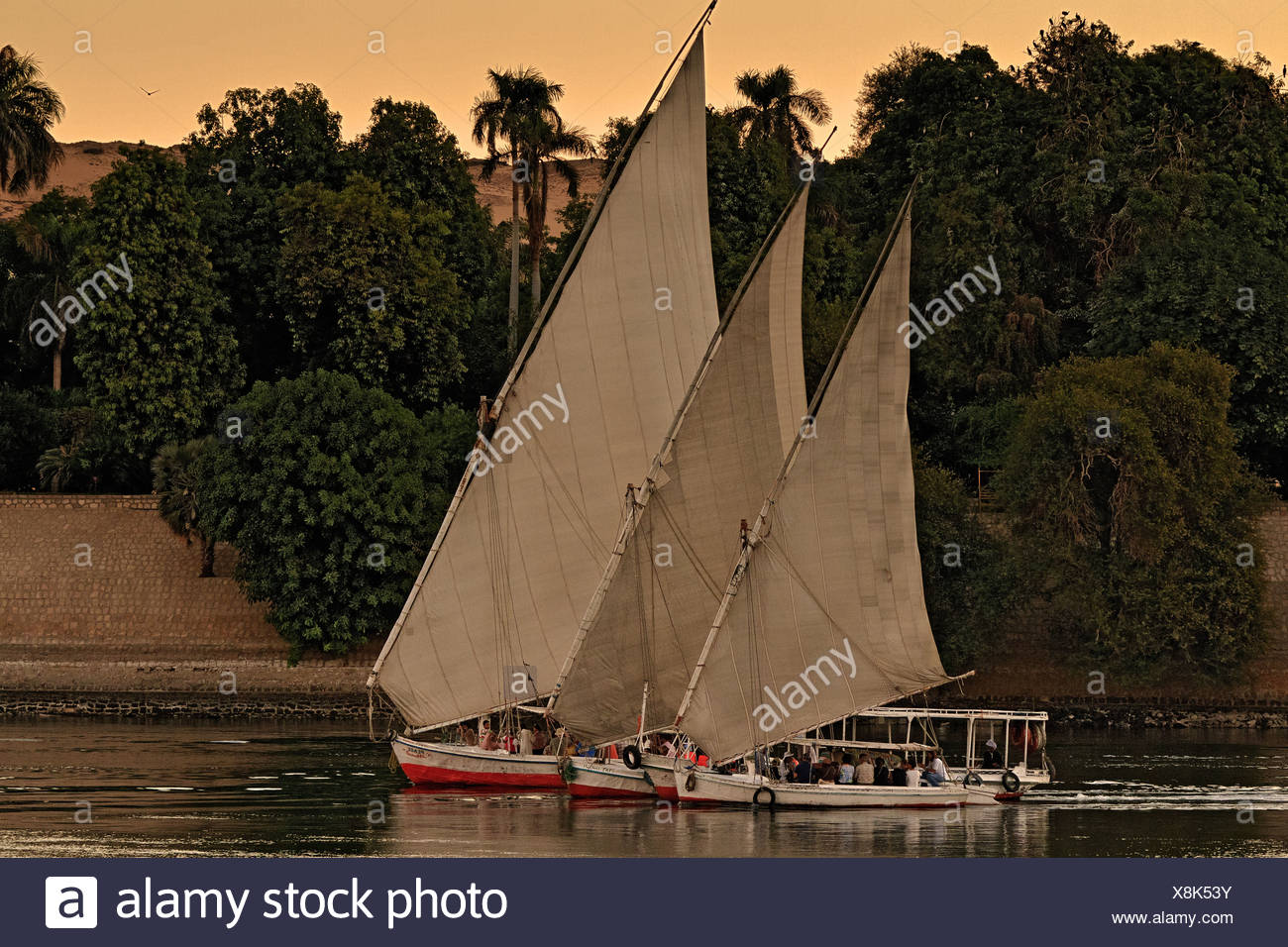 Faluka Stock Photos & Faluka Stock Images - Alamy