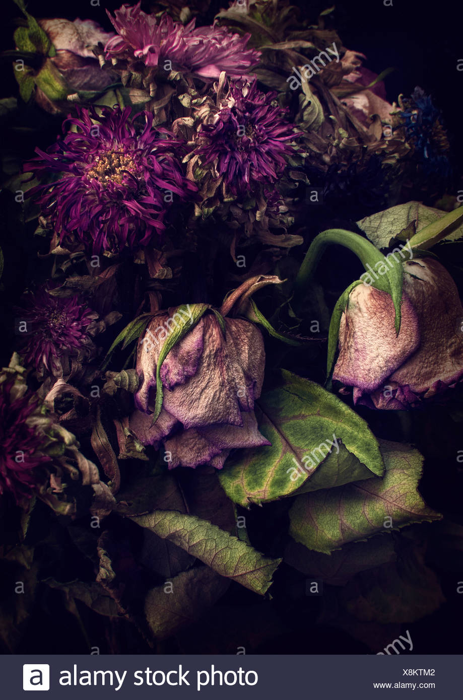 Old Flowers Decaying High Resolution Stock Photography and Images - Alamy
