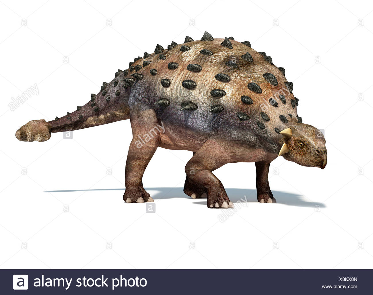 Dinosaur Scale High Resolution Stock Photography and Images - Alamy