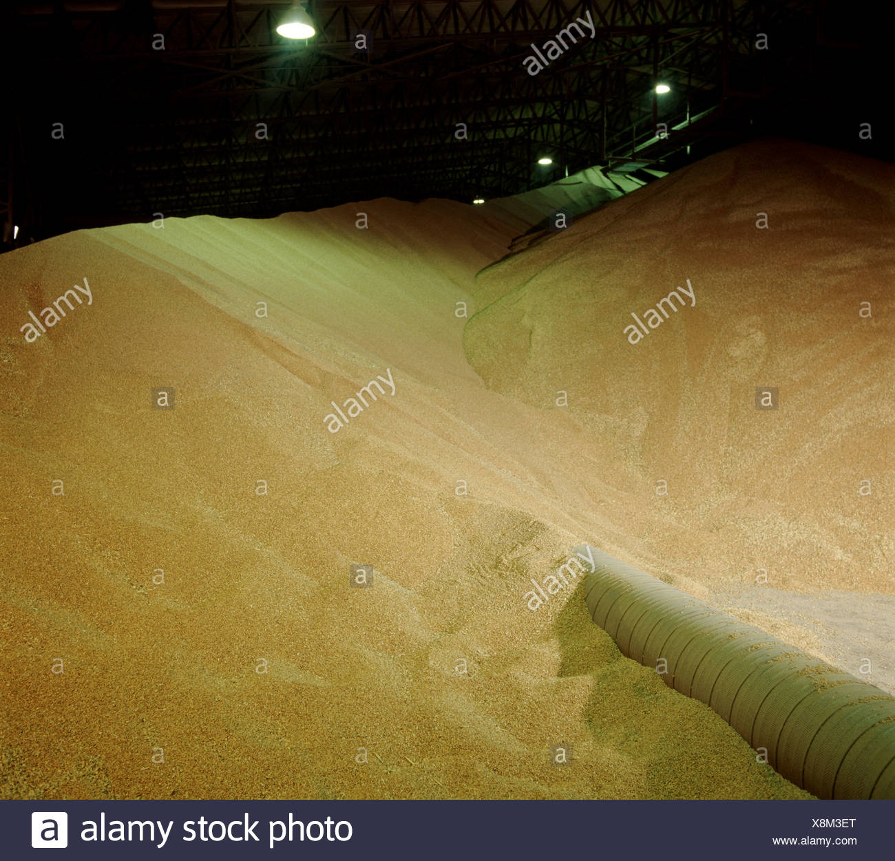 Inside Silos High Resolution Stock Photography and Images - Alamy