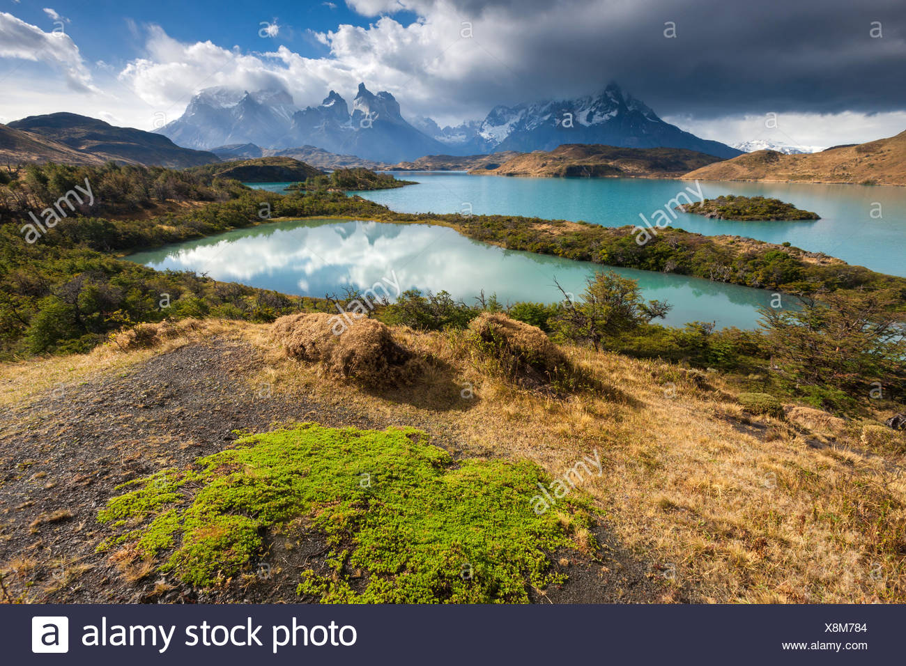 Pehoe Lake Chile Stock Photos & Pehoe Lake Chile Stock Images - Alamy