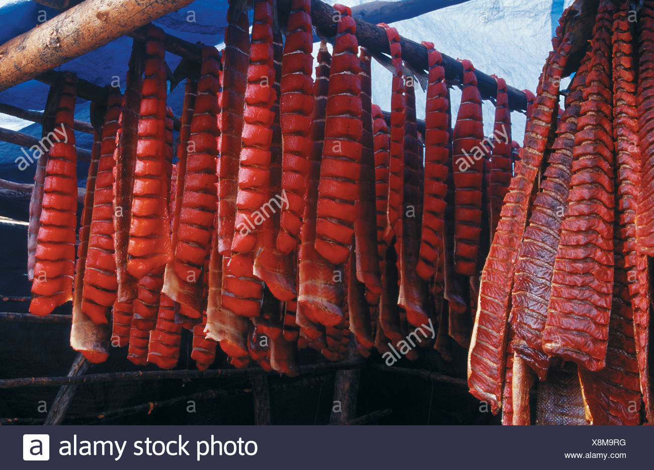 Traditional First Nations Food Canada High Resolution Stock Photography ...