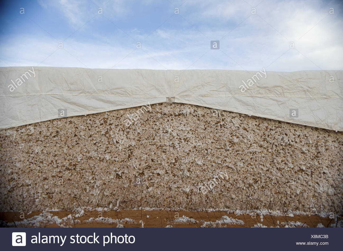 Bale Of Cotton Stock Photos & Bale Of Cotton Stock Images - Alamy